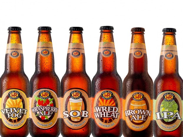 Calgary’s Wild Rose Brewery appoints new CEO » Strategy