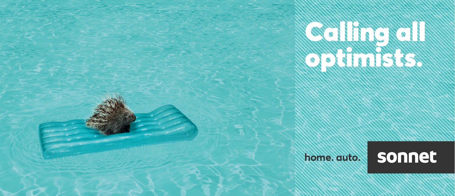 Sonnet Insurance’s optimistic launch » Strategy