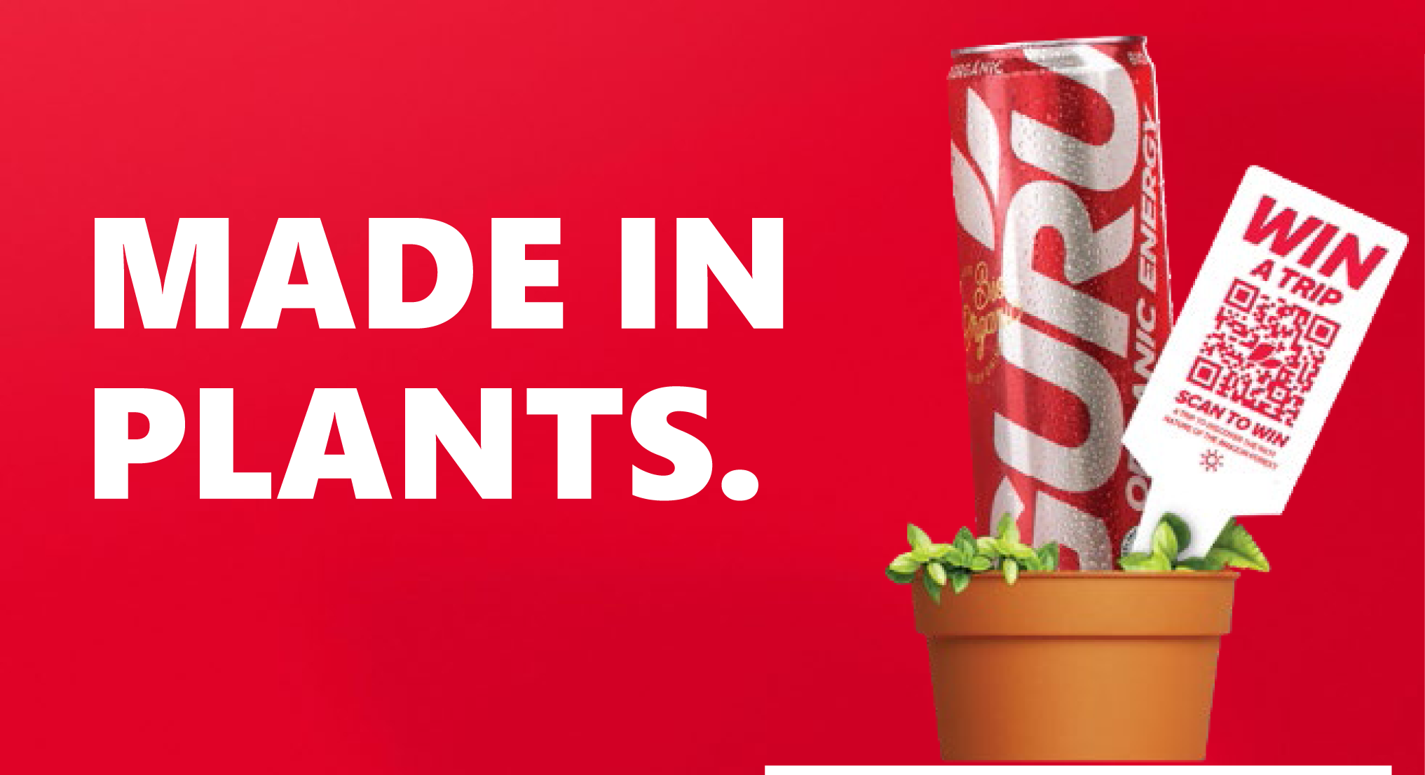 Guru is planting an idea about better-for-you energy drinks » Strategy